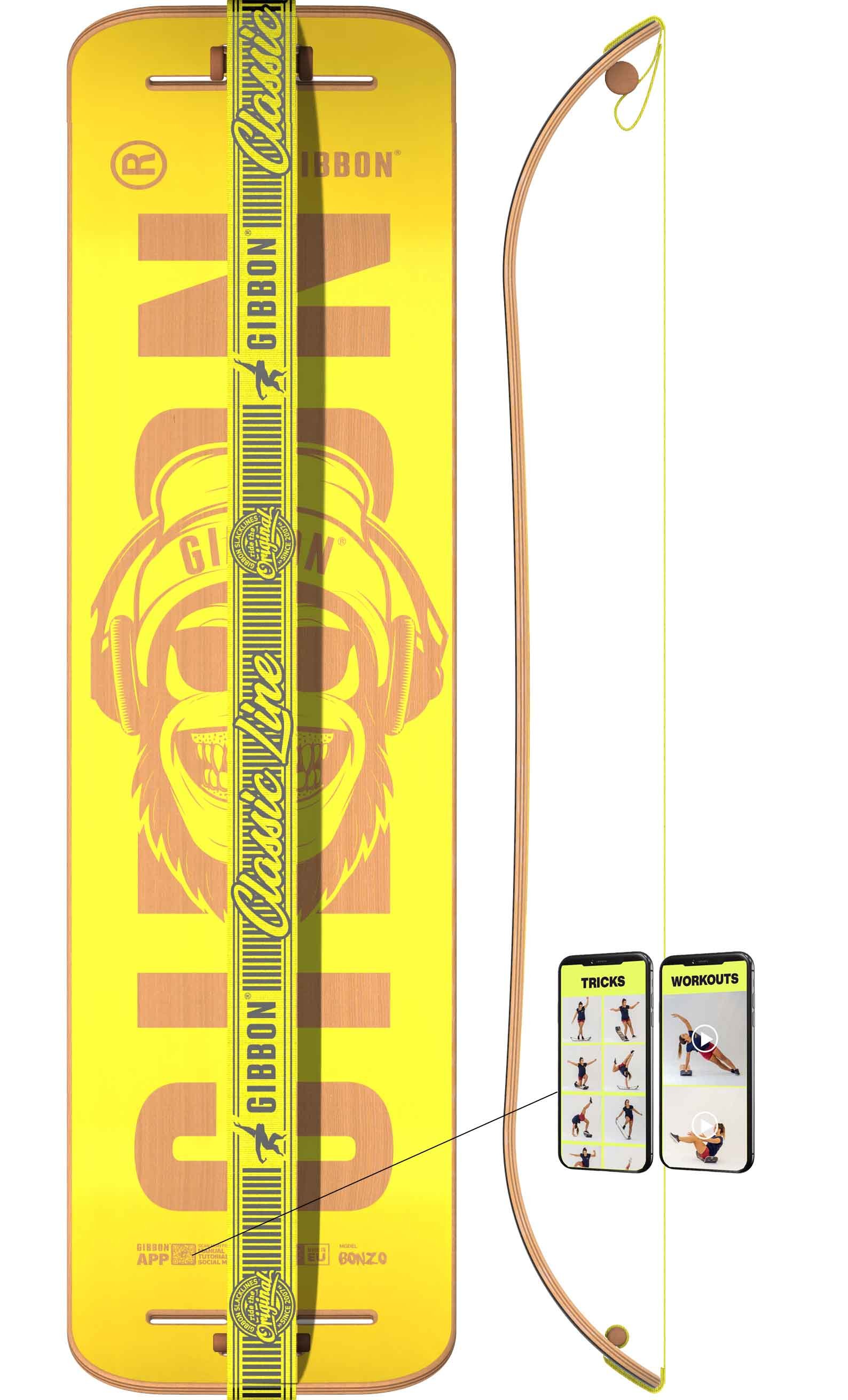 Discover the GIBOARD!